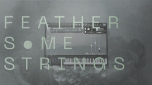 Feathersome Strings String Quartet Sample Library By Wrongtools